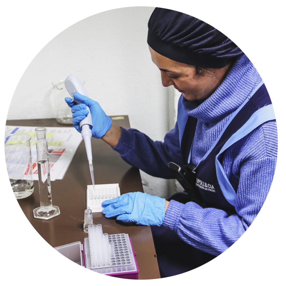 Ons verhaal - Papillon fruit